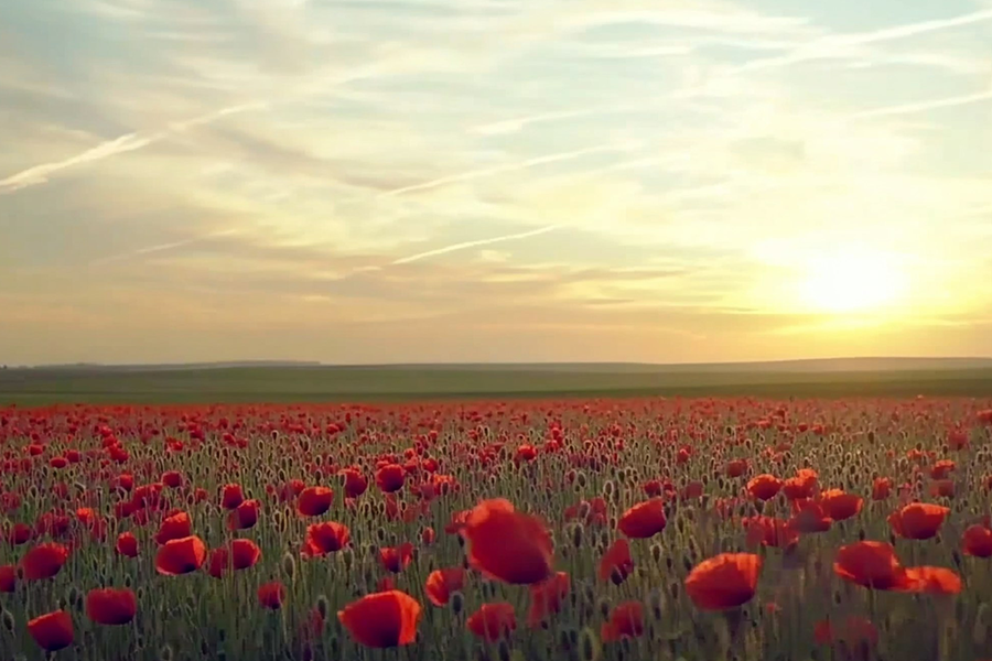 Week at a Glance Nov. 4-8 | School Council AGM, Fun Lunch - Clarence ...